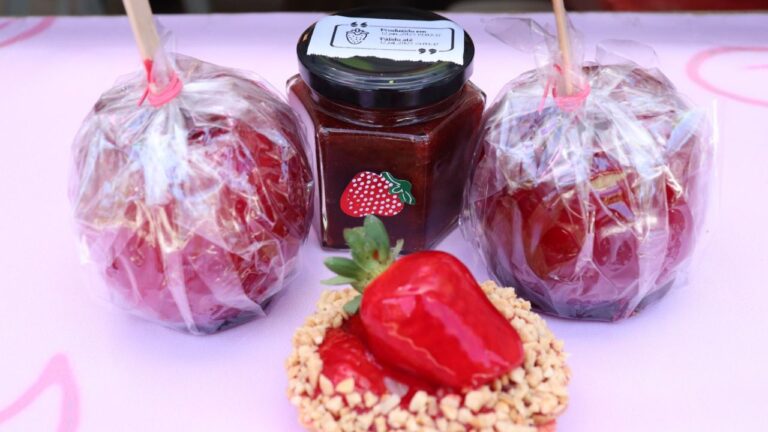 🍓 Festival do Morango agita Embu das Artes com doces virais e entrada ...